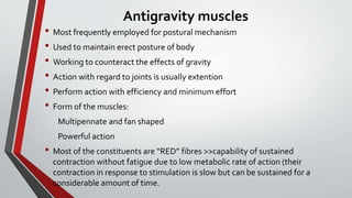 POSTURE BY MIN^ED ACADEMY | PPTX