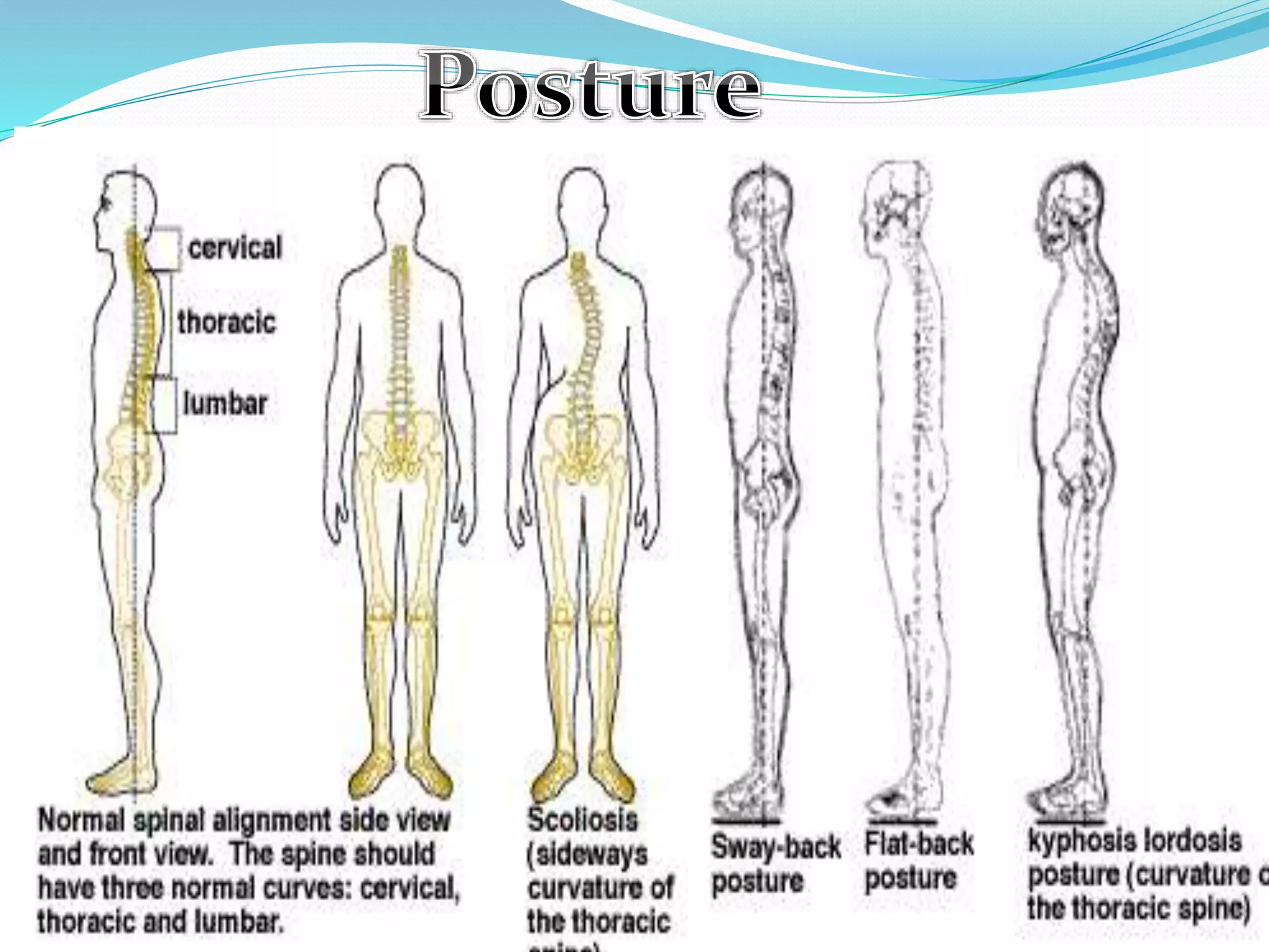 Posture presentation: An Important point in personal development | PPTX