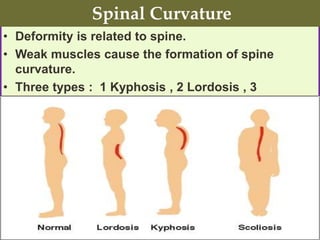 Lesson 4 - Postures | PPTX