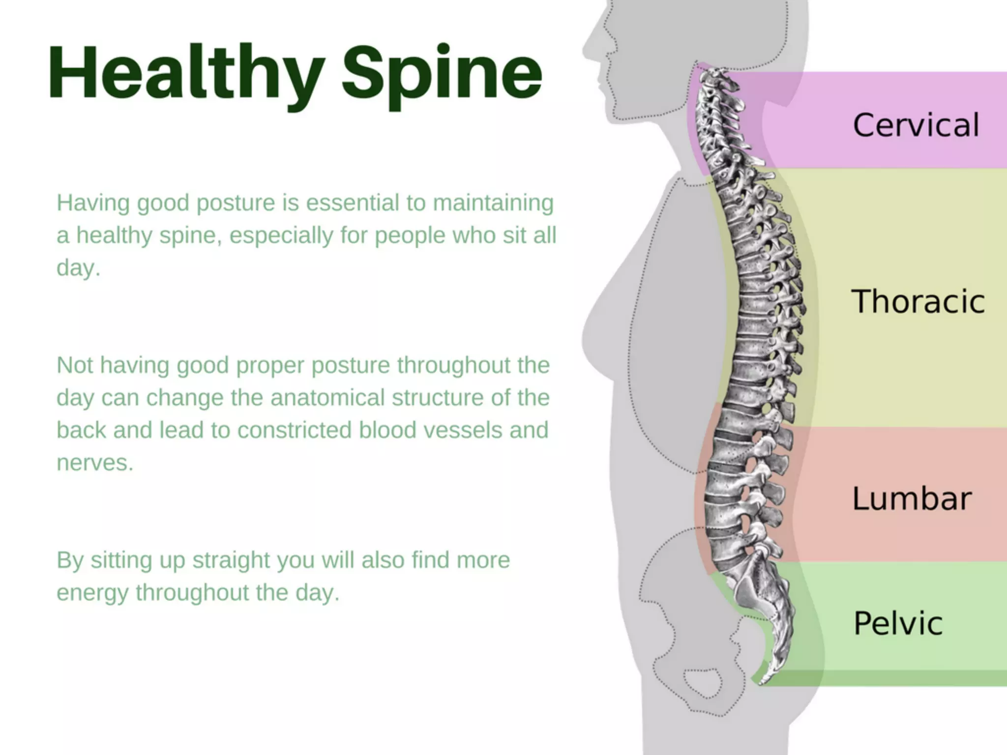 The Importance of Good Posture To Health | PDF