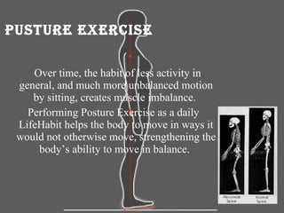 Posture | PPT | Physical Therapy | Wellness