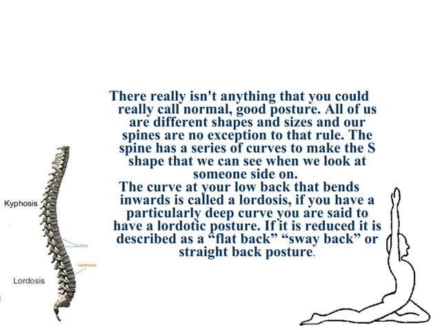 Posture | PPT | Physical Therapy | Wellness