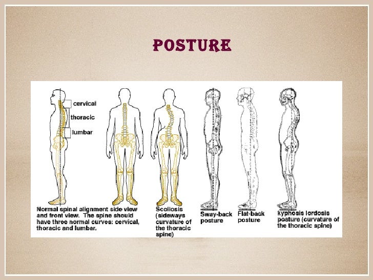Posture And Posturology, Anatomical And Physiological Profiles – IYDRNT