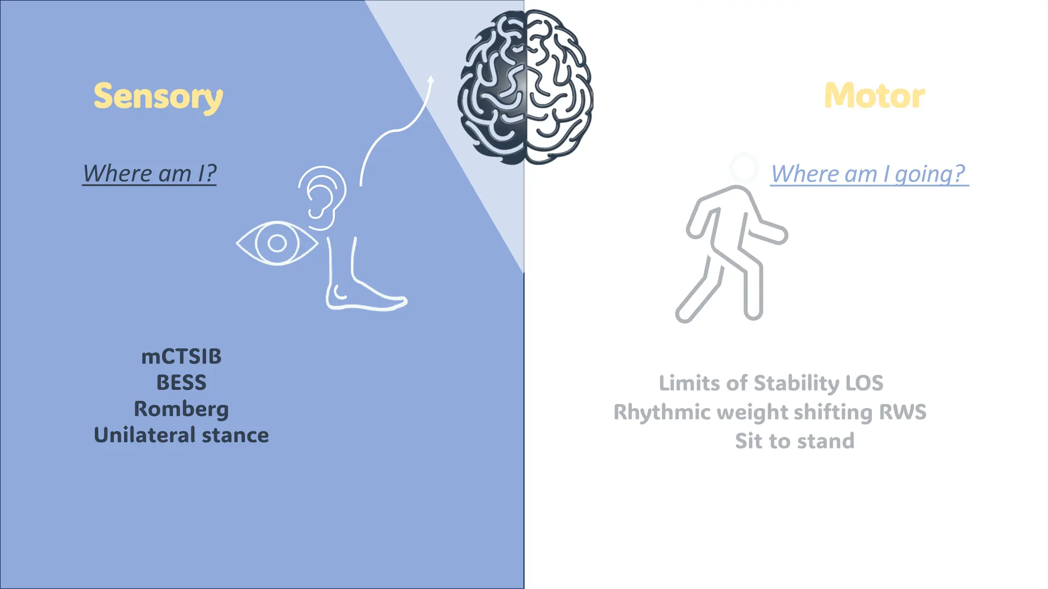 Posturography in Neurological Disorders - How to assess and treat ...