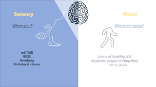 Posturography in Neurological Disorders - How to assess and treat ...