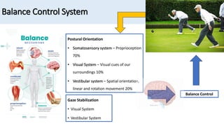 Posturography in Neurological Disorders - How to assess and treat ...