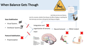 Posturography in Neurological Disorders - How to assess and treat ...