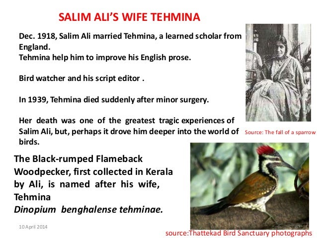 Life and Work of Salim Ali