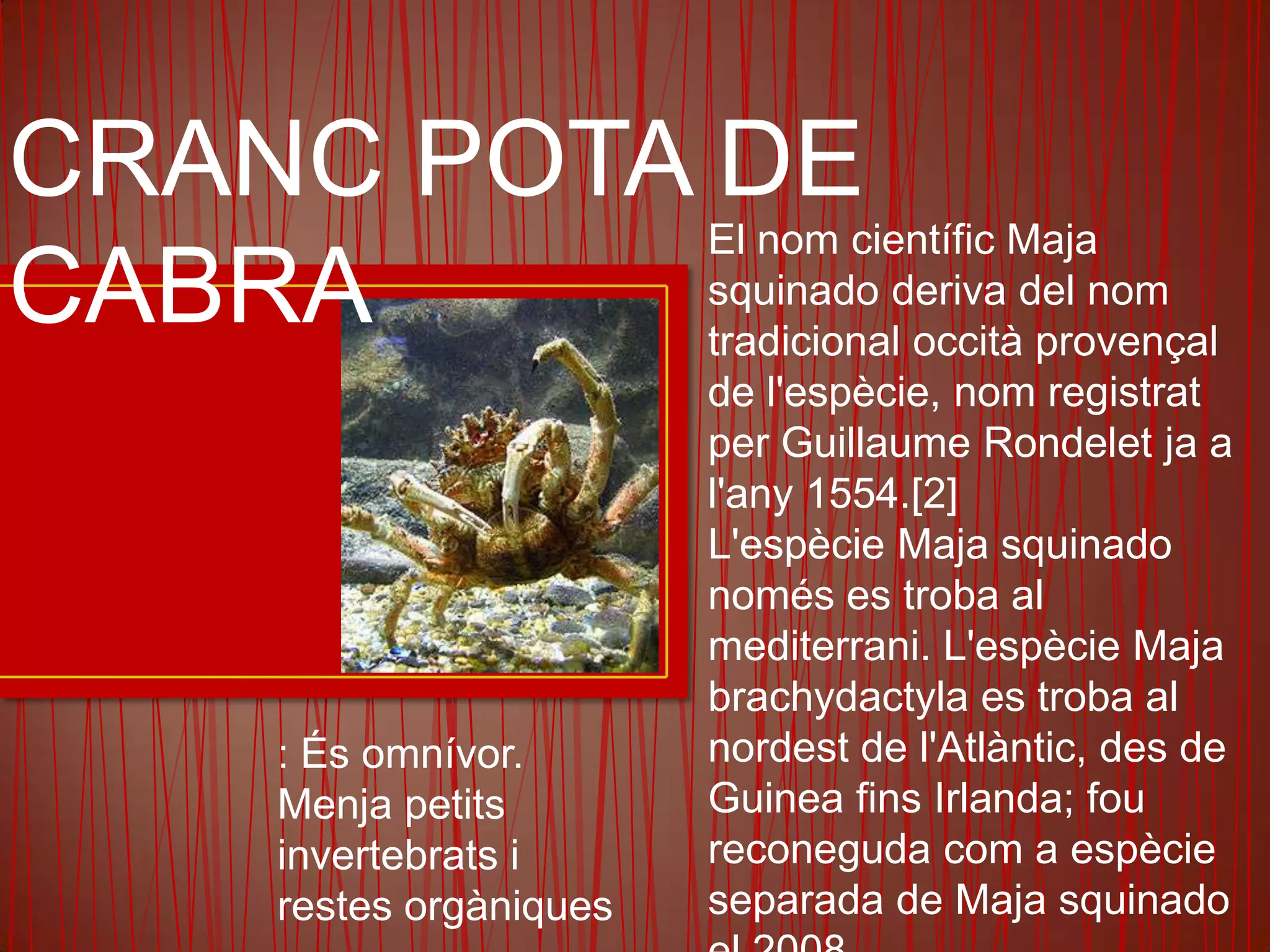 Pota de cabra | PPT