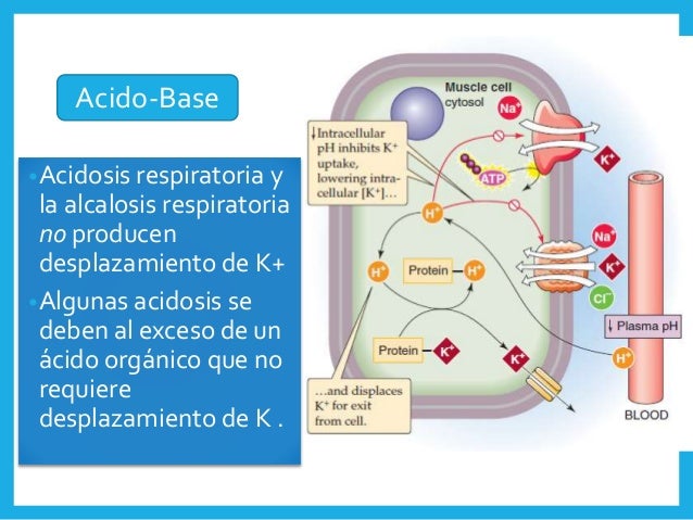 alteraciones del Metabolismo Potasio