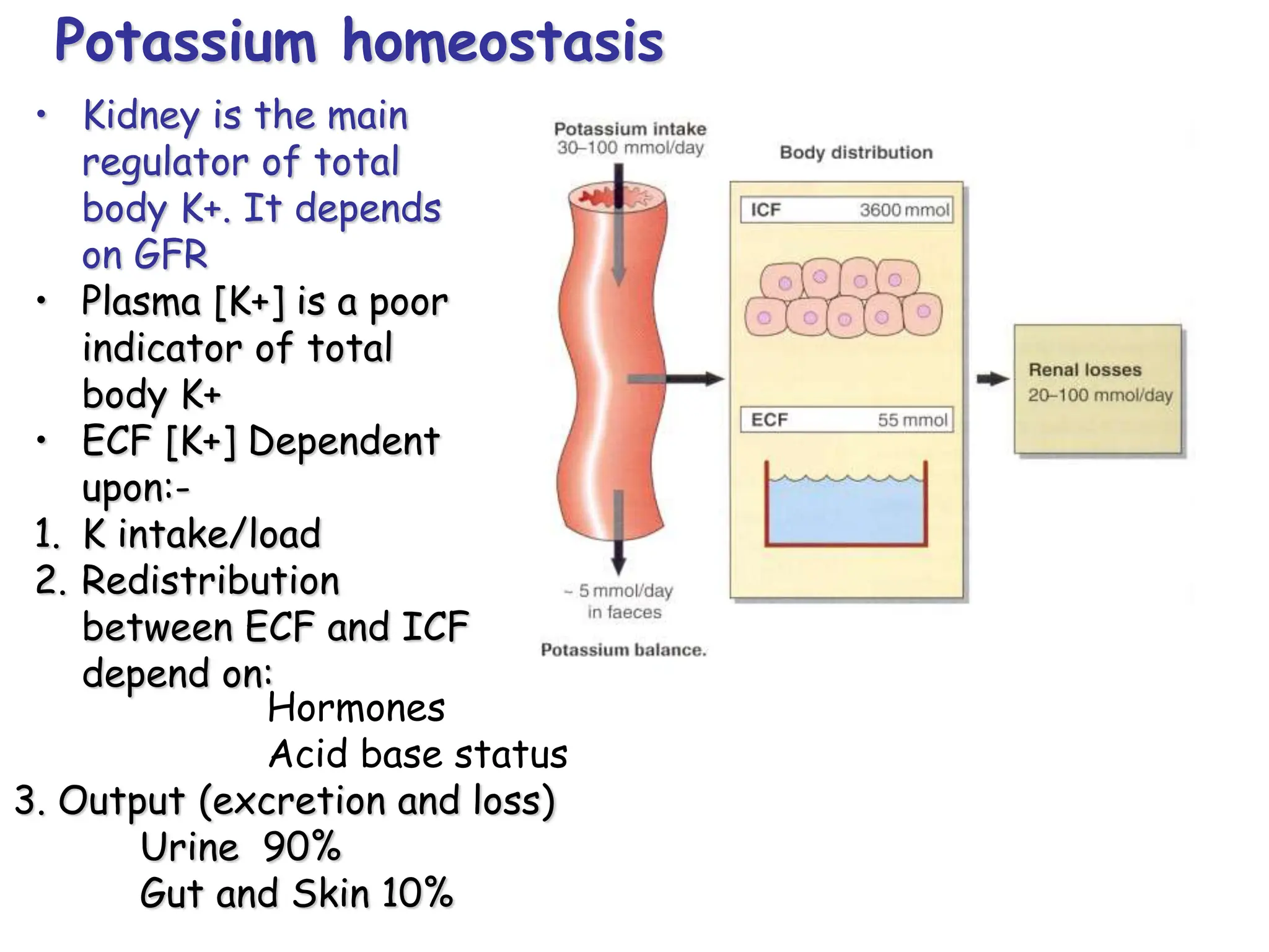 Potass hemostat.ppt..................... | PPT | Free Download