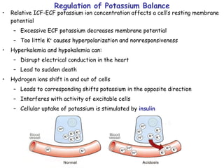 Potass hemostat.ppt..................... | PPT