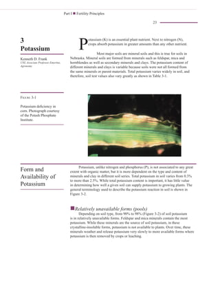 Potassium 1 | PDF