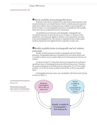 Potassium 1 | PDF