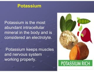 Potassium and Chloride. Minerals for health | PDF