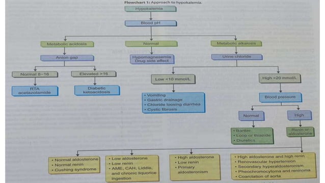 POTASSIUM AND RELATED DISORDERS .pptx
