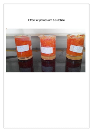 potassium bisulphite (1).pdf