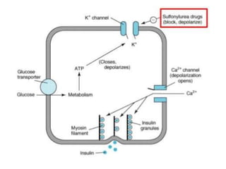 Potassium channel modulators | PPTX
