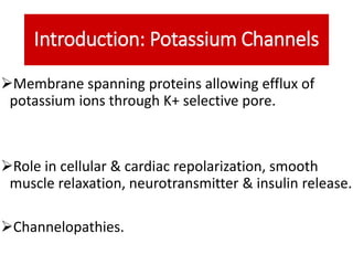Potassium channel modulators | PPTX