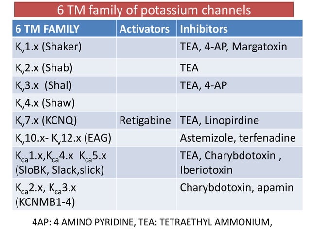 Potassium channel openers | PPTX | Genetics | Science