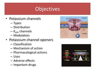 Potassium channel openers | PPTX