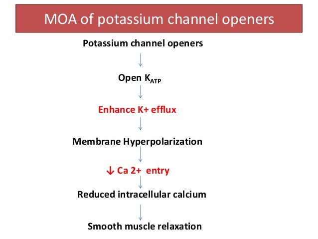Potassium channel openers