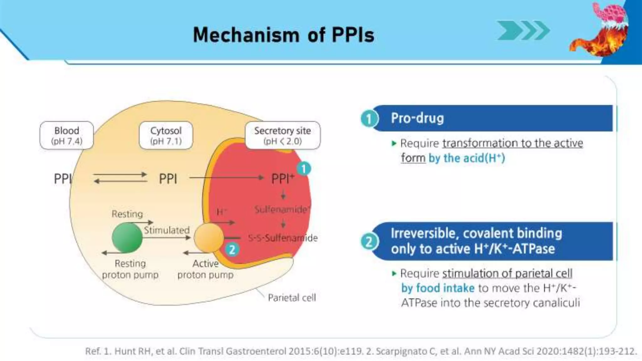 Potassium competitive acid blocker.pptx