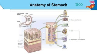 Potassium competitive acid blocker.pptx