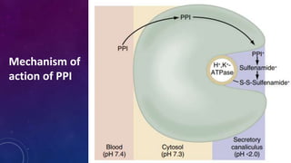 Potassium competitive acid blocker.pptx