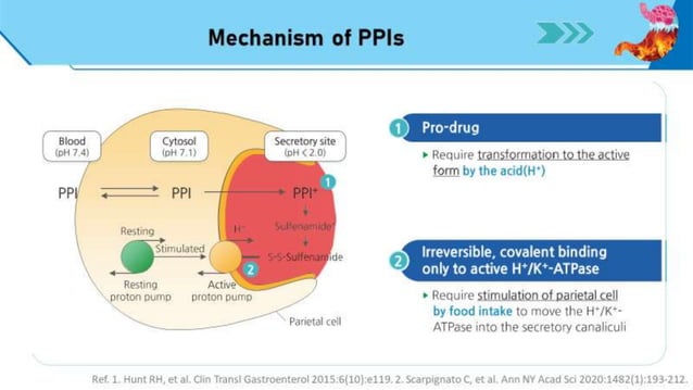 Potassium competitive acid blocker.pptx | Digestive Disorders ...