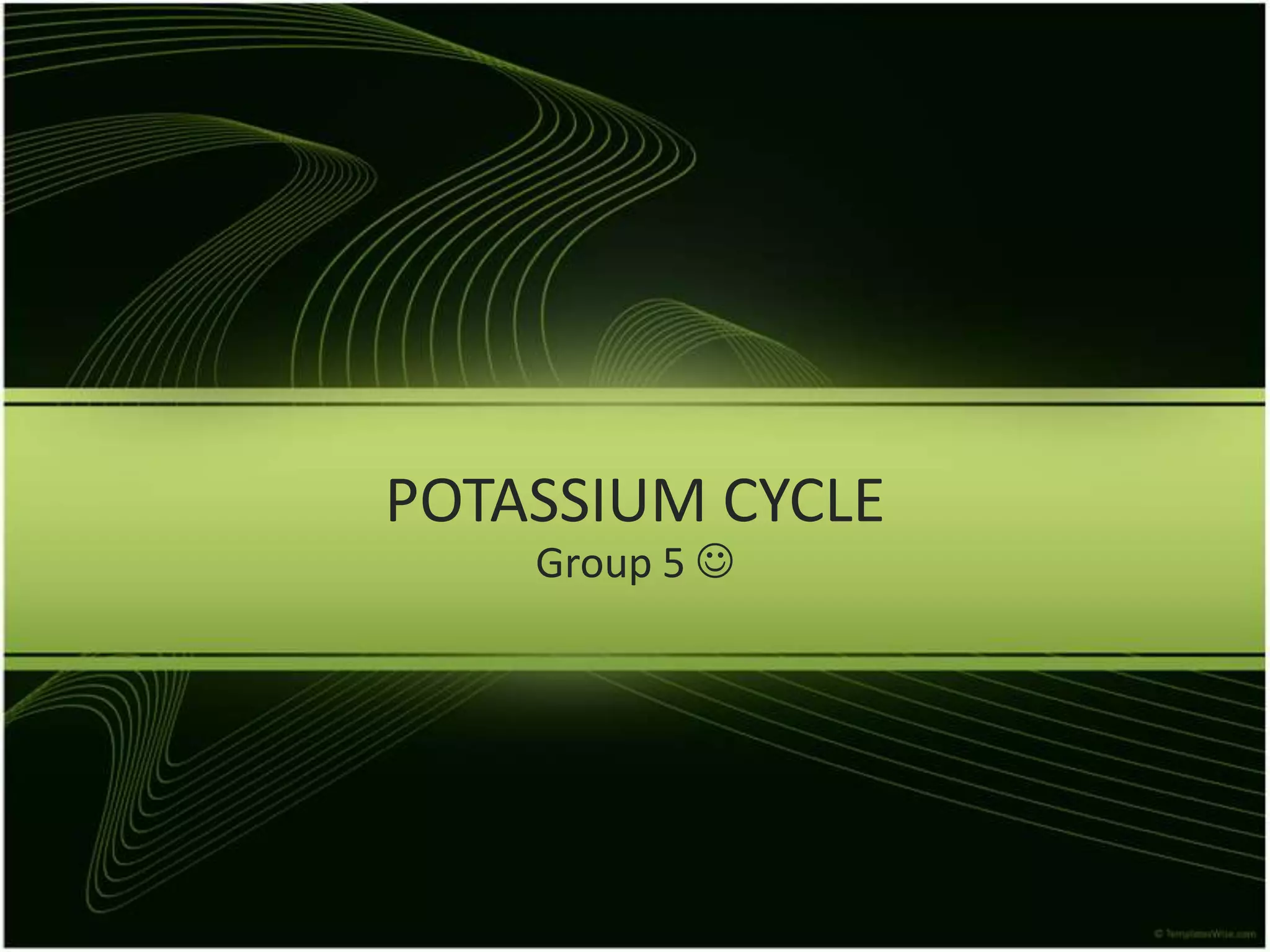 Potassium cycle | PPTX