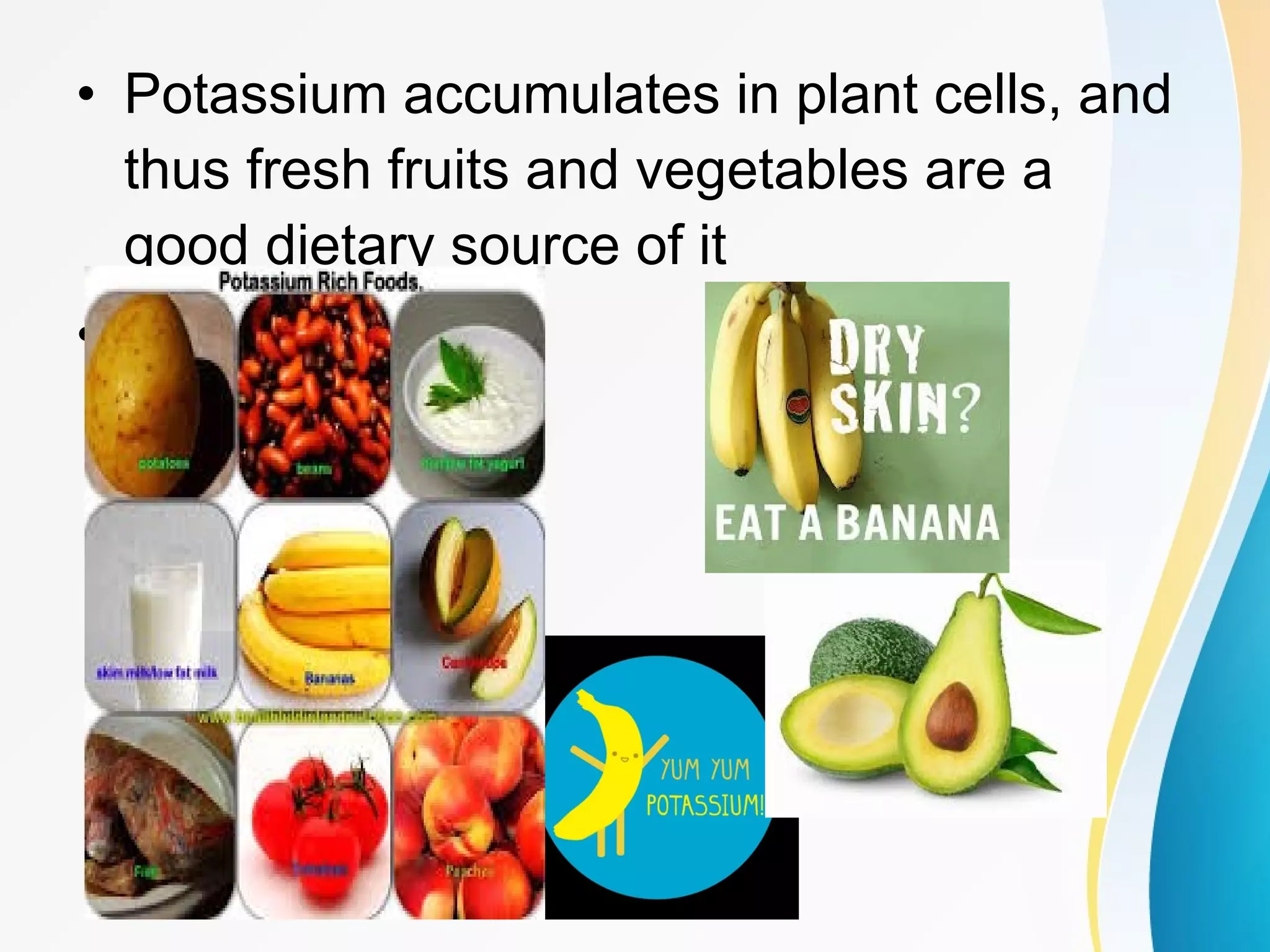 Potassium Cycle | PPT