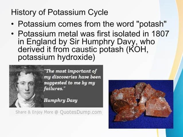 Potassium Cycle | PPT