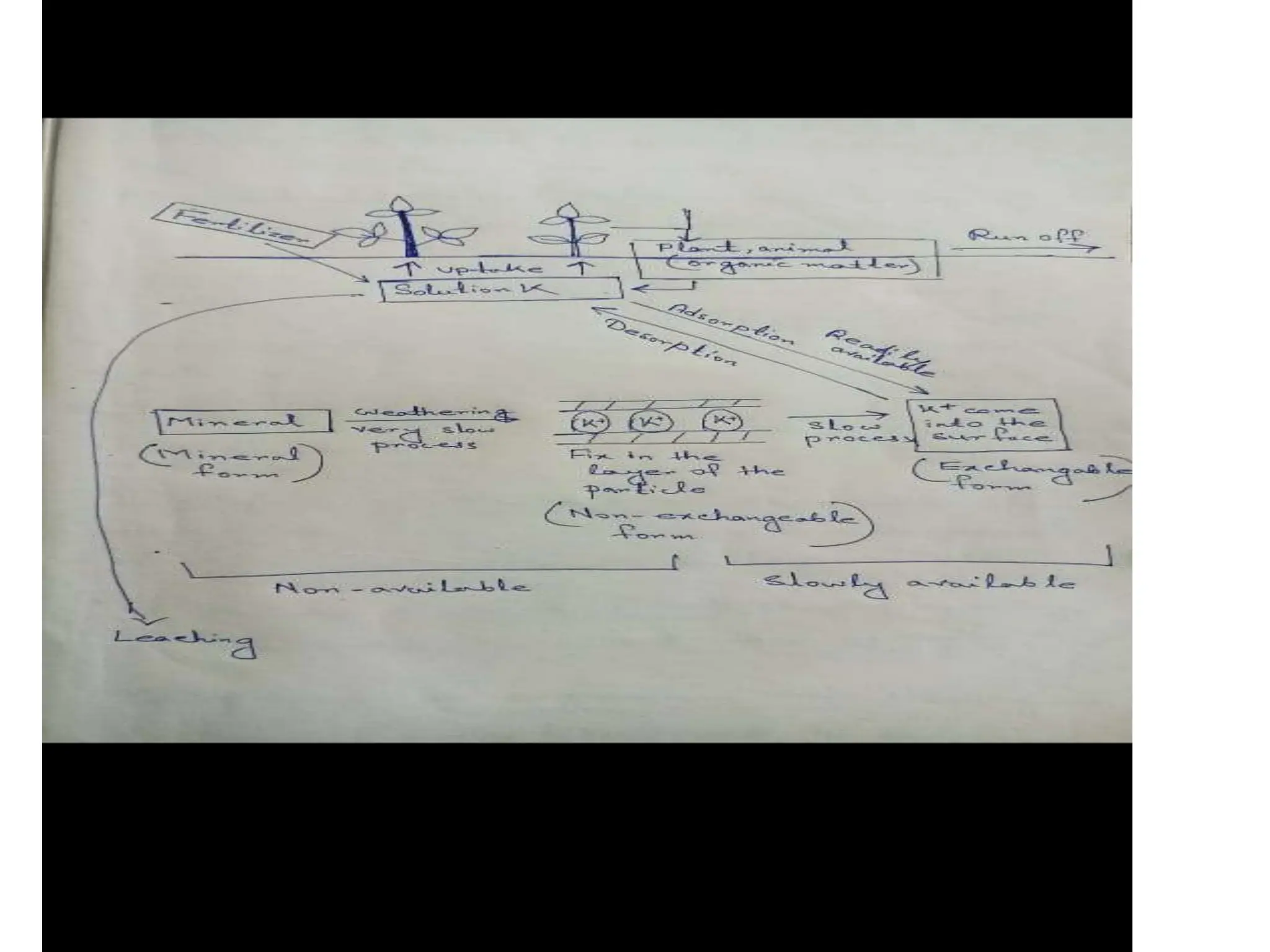 Potassium cycle soil science topic (soil fertility and biodiversity) | PPTX