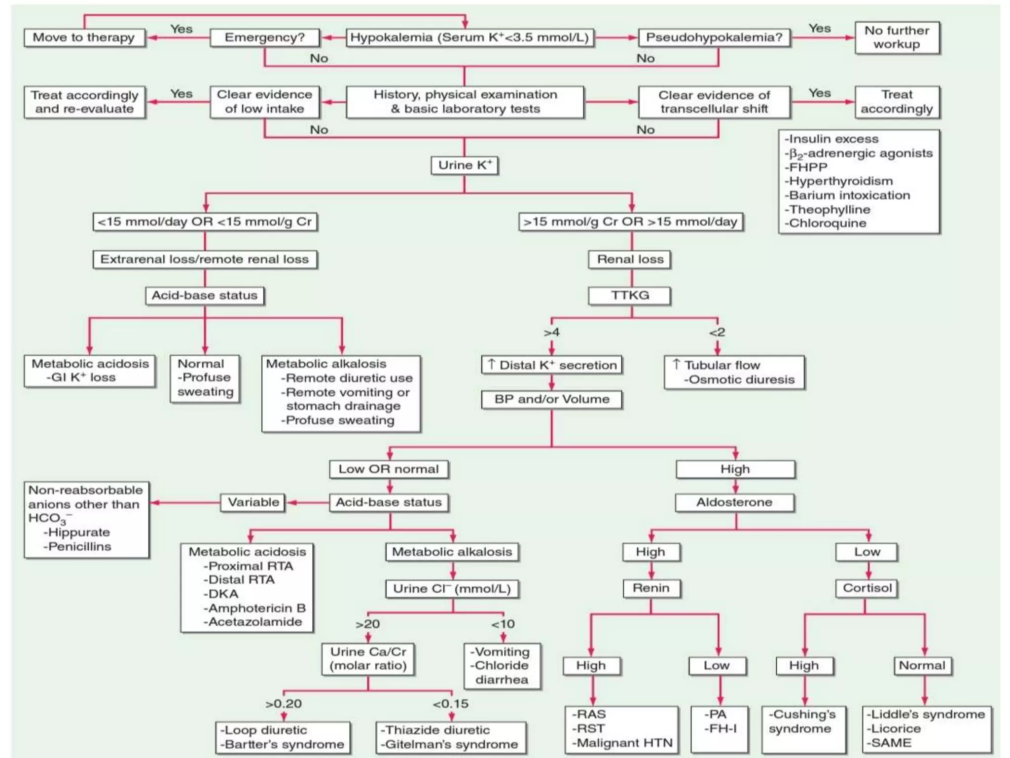 Potassium disorders-hypokalemia and hyperkalemia | PPTX