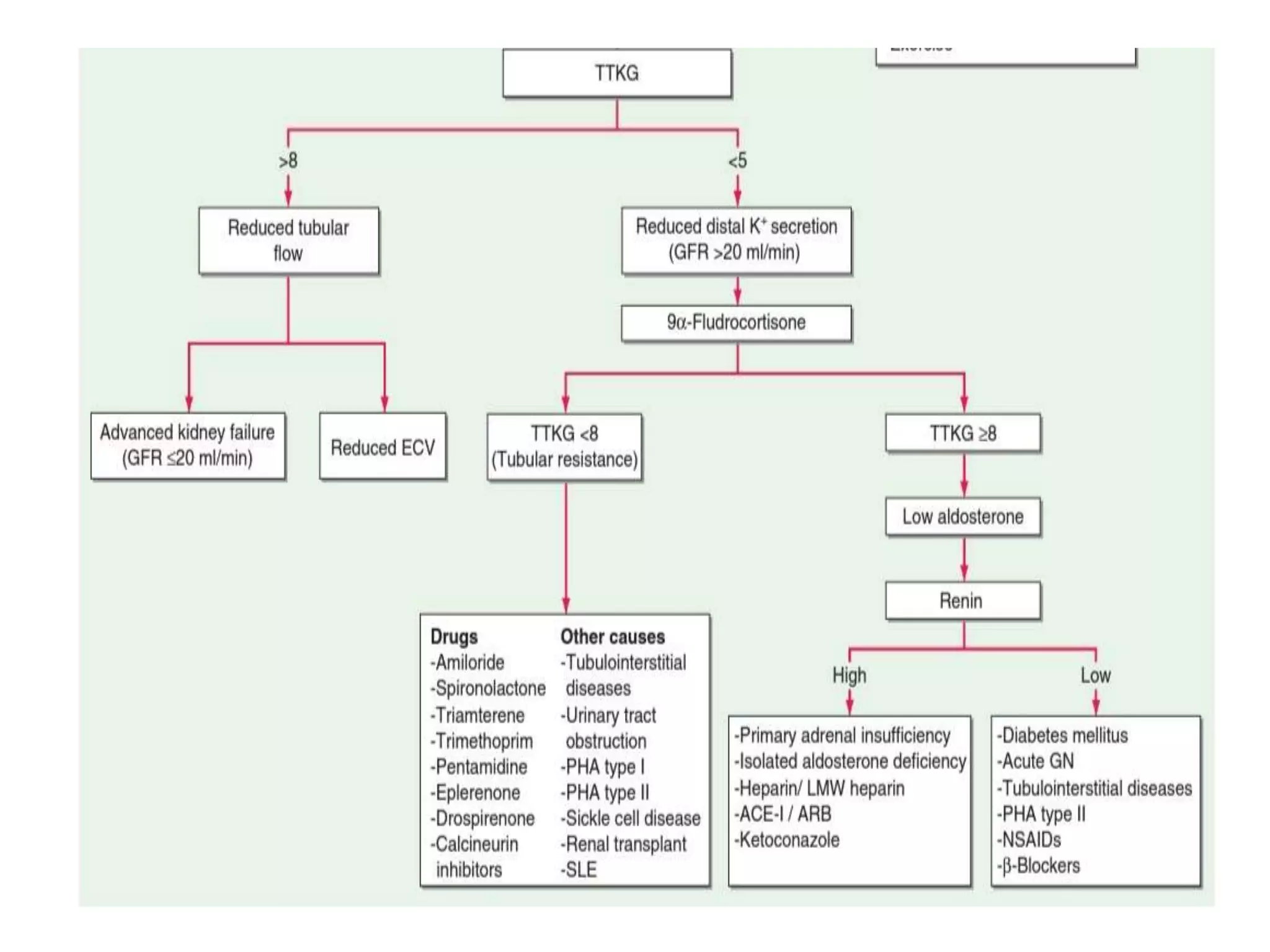 Potassium disorders-hypokalemia and hyperkalemia | PPTX