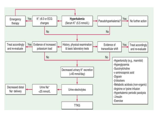 Potassium disorders-hypokalemia and hyperkalemia | PPTX | Blood ...