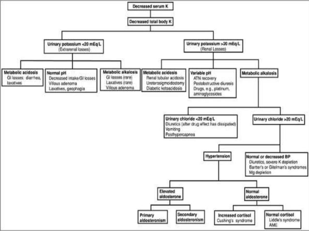 Potassium Management | PPTX | Blood Disorders | Diseases and Conditions