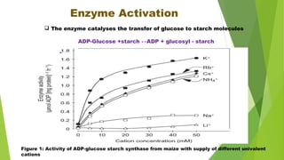 Potassium utilization and metabolism | PPT