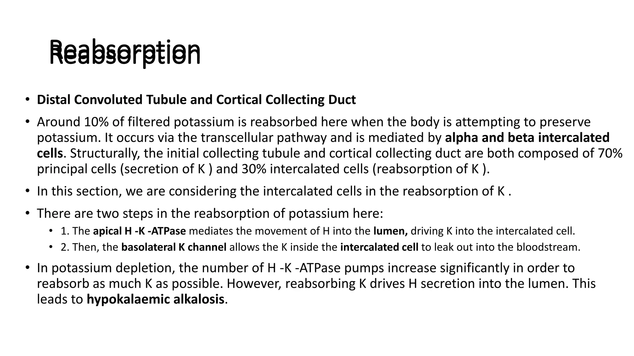 POTASSIUM PHYSIOLOGY.pptx
