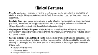 POTASSIUM PHYSIOLOGY.pptx