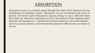 Potassium | PPTX