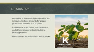 Potassium Role and Deficiency Symptoms.pptx