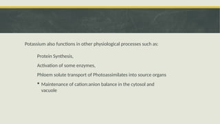Potassium Role and Deficiency Symptoms.pptx