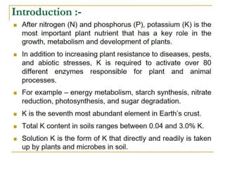 Potassium solubilization | PDF