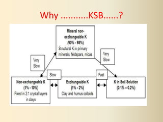 Potassium solublising micro organisms | PPTX