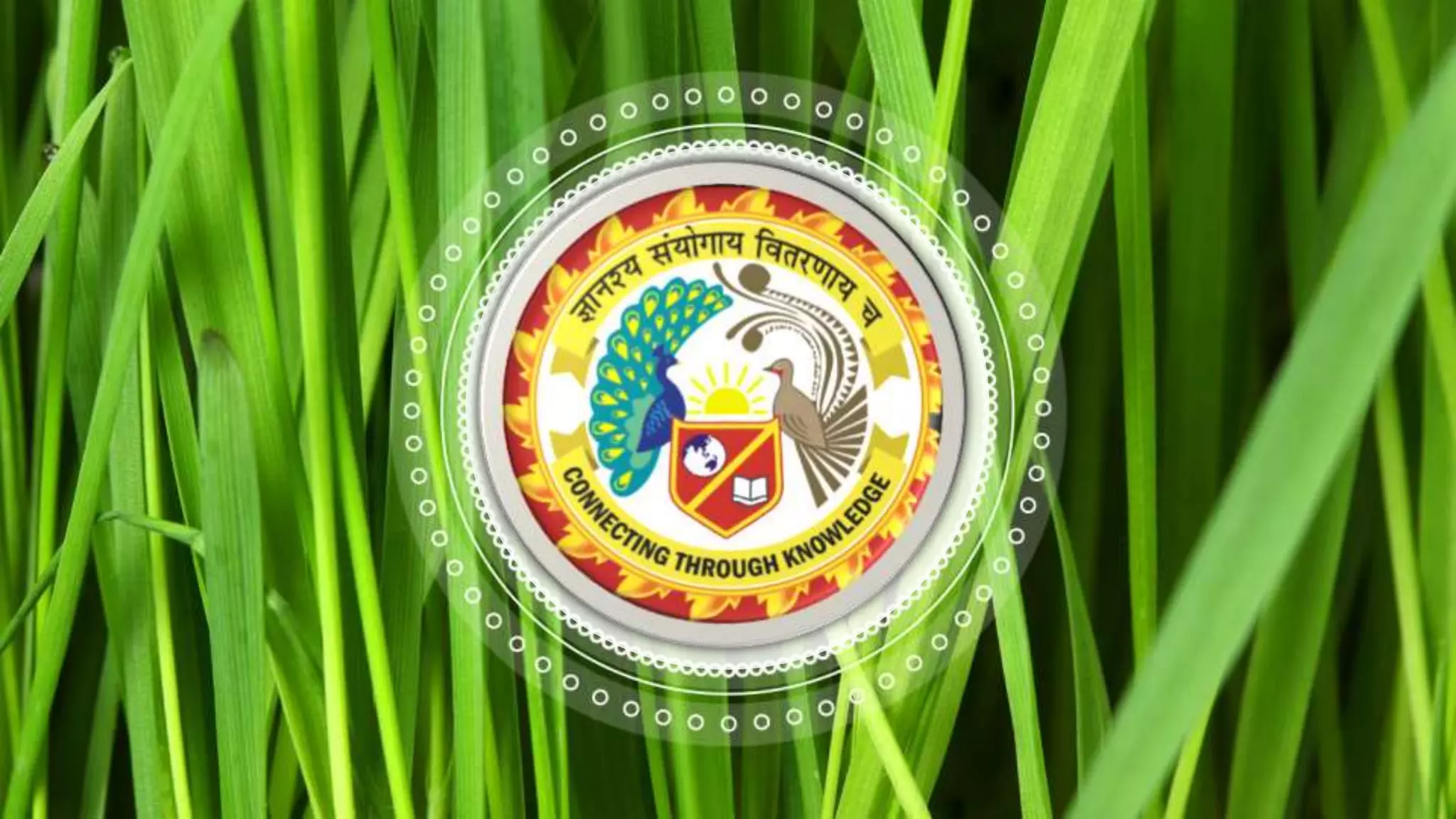 Breeding methods of potato | PPTX