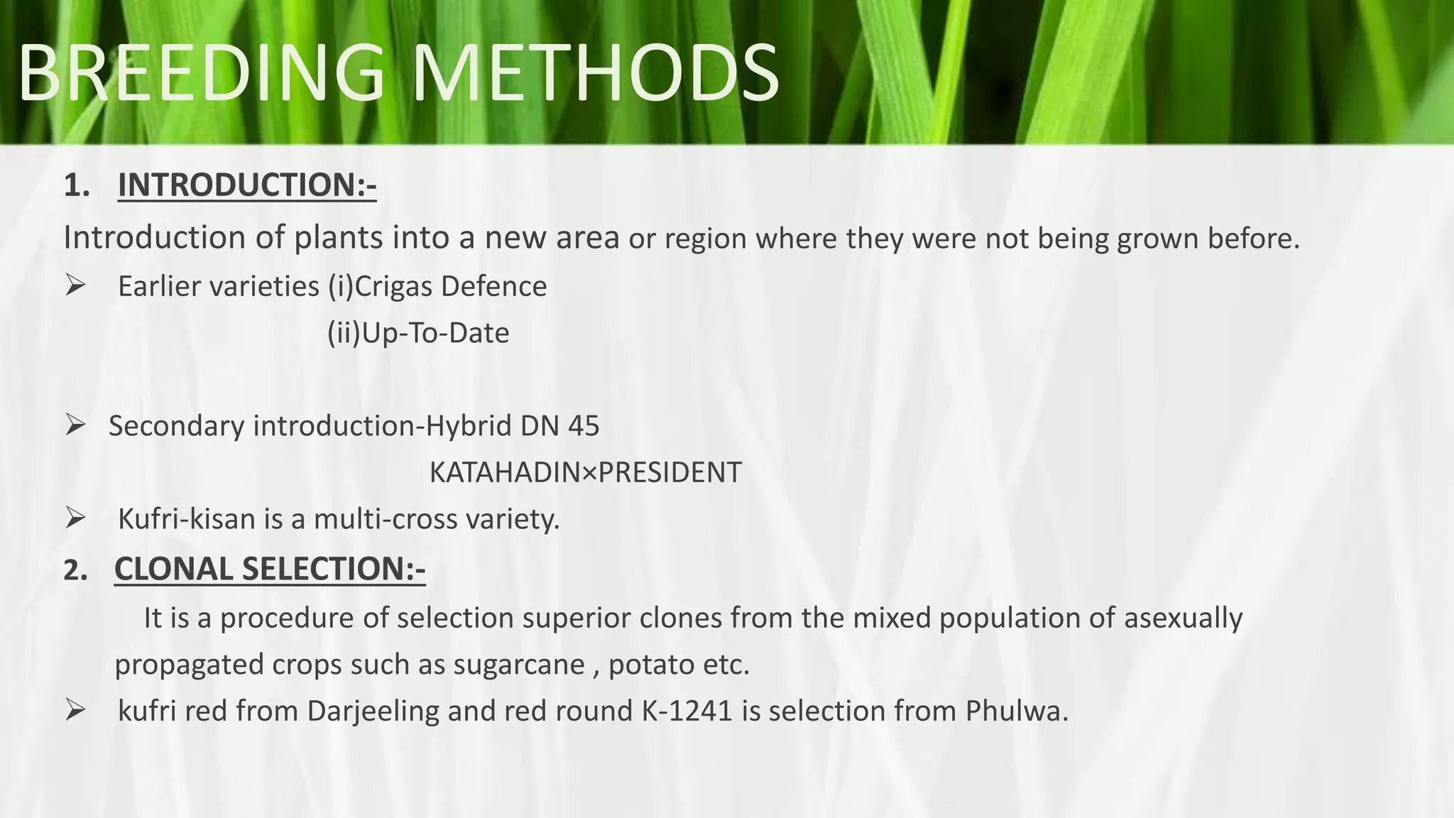 Breeding methods of potato | PPTX