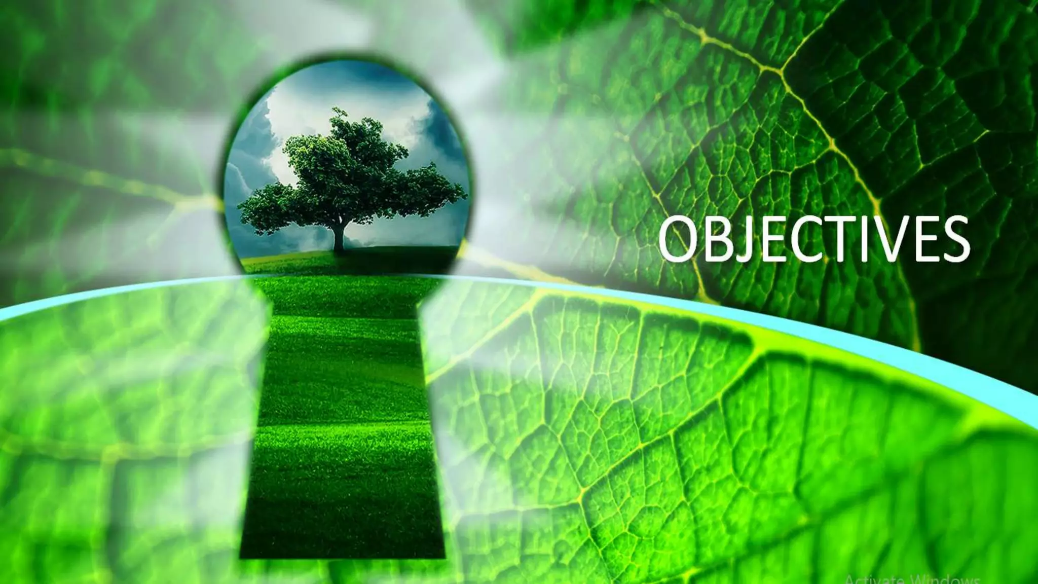 Breeding methods of potato | PPTX