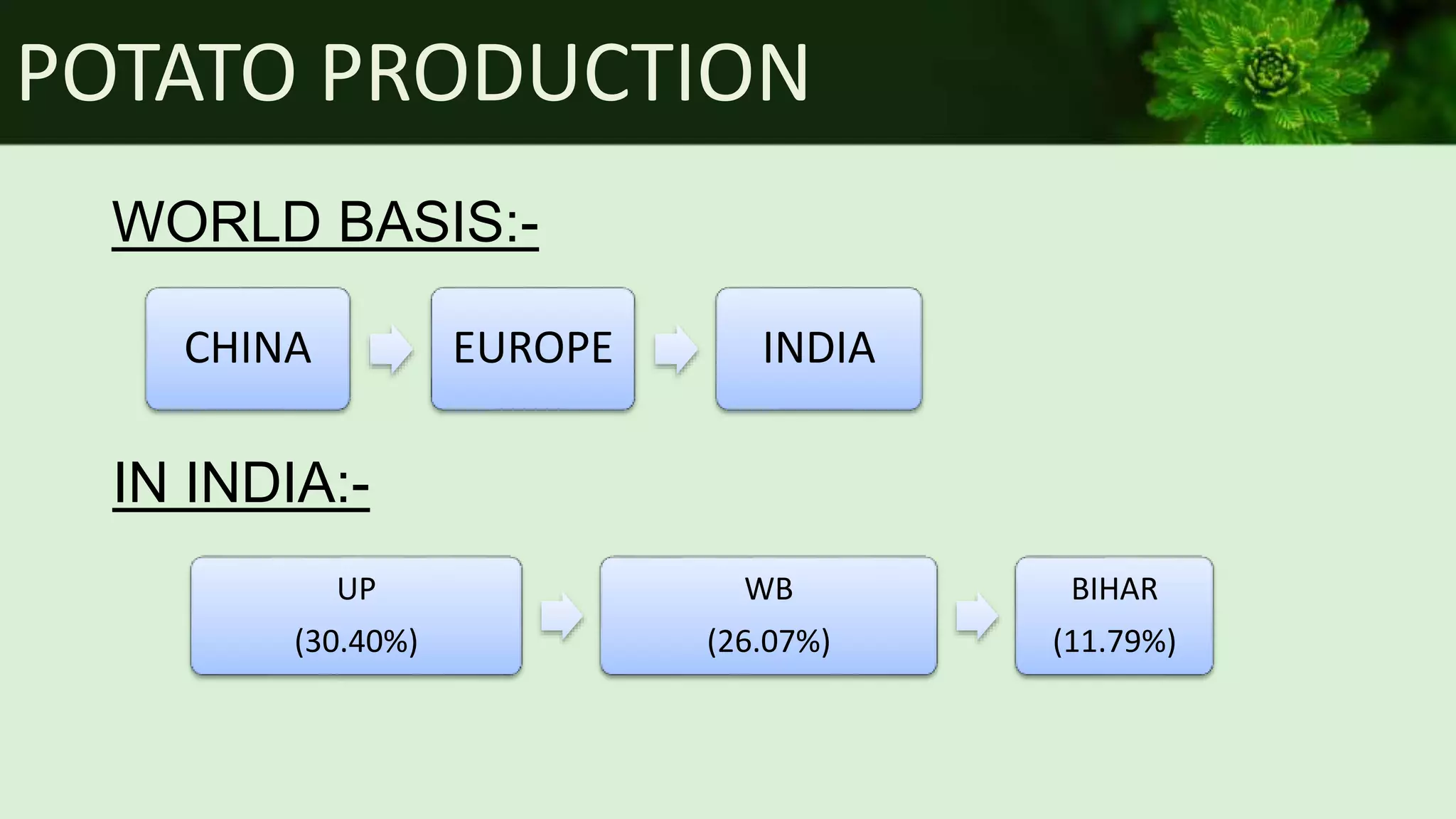 Breeding methods of potato | PPTX